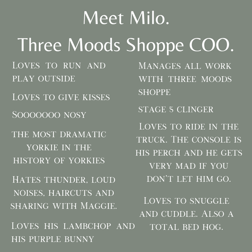 Three Moods Shoppe Metaphyiscal